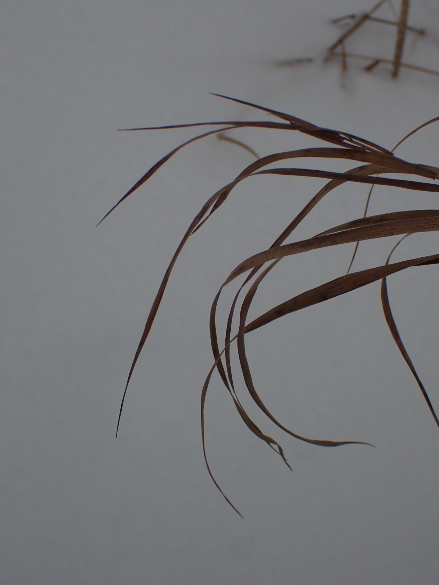 hindsight by tom clausen | tom clausen