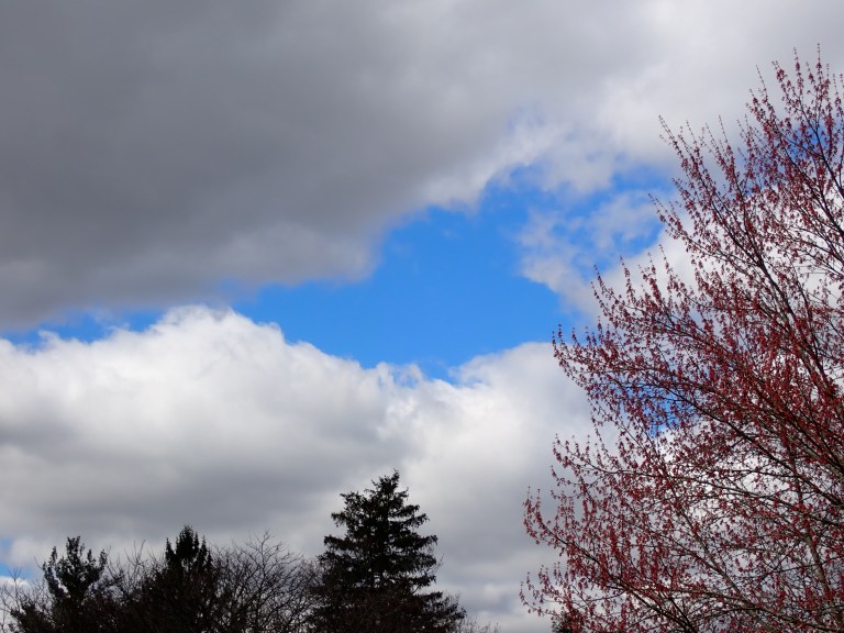 pale blue by tom clausen | tom clausen